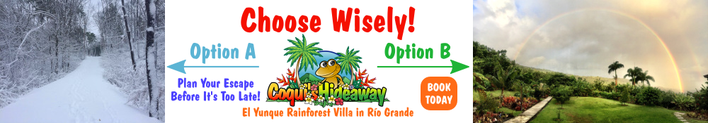 Carnaval de Ponce | Ponce Carnival | Puerto Rico Day Trips Travel Guide