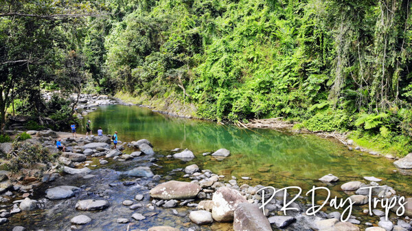Walk Angelito Trail to a Great Swimming Hole | PRDayTrips