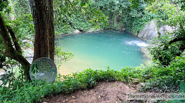 Take a Dip in Charco El Mango | PRDayTrips
