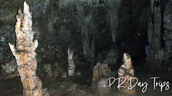Cave of the Wind in Guajataca Forest - Cueva del Viento | PRDayTrips