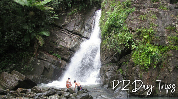 Swimming in La Mina Falls- Currently not available | PRDayTrips