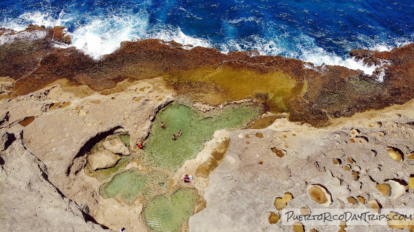 Check out the Natural Pools in Manatí | PRDayTrips