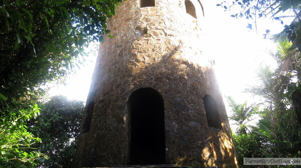 Hike Mount Britton Trail in the Rain Forest | PRDayTrips