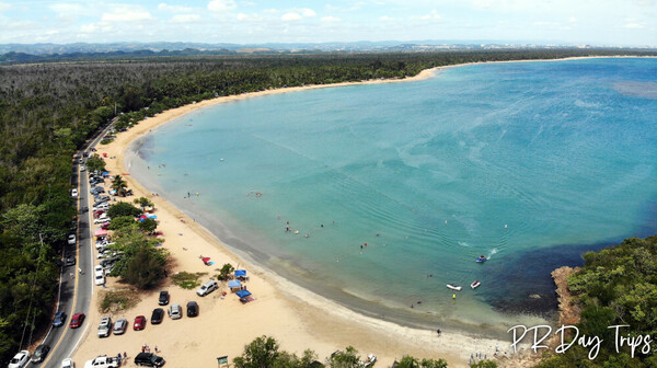 Pinones Mangrove Forest – Nature Boardwalk & Waterfront Fun | PRDayTrips