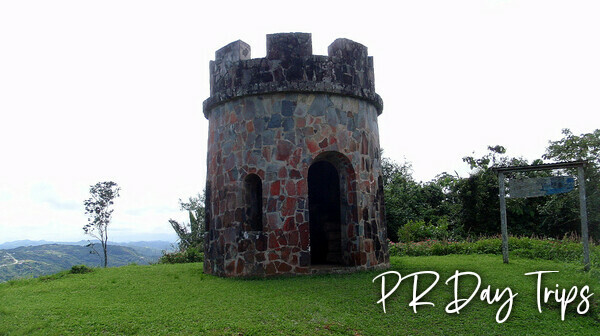 Toro Negro Forest Hiking, Charco, Waterfall, Cerro Punto | PRDayTrips